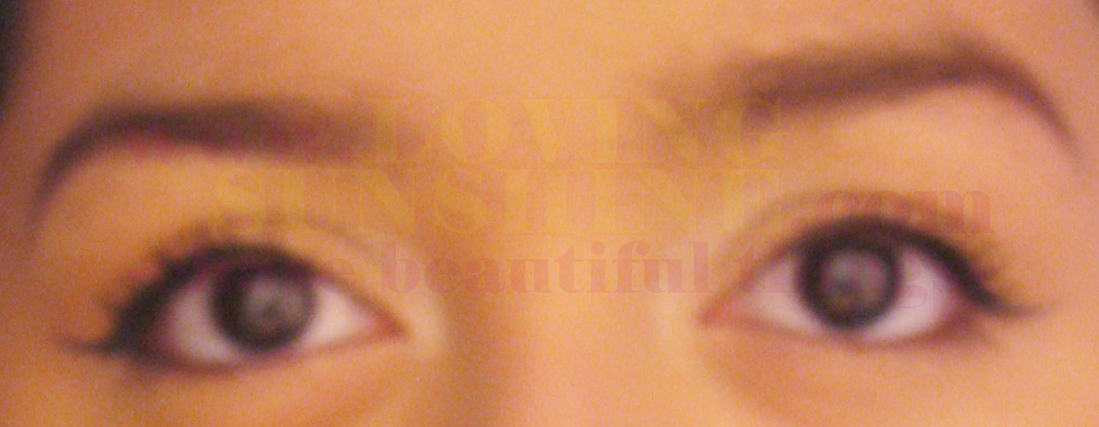 -Cheesy Random Things-