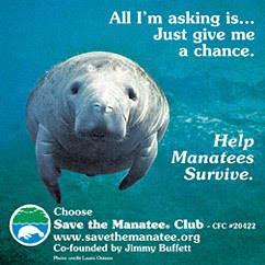 Fowler Ramp Up Research Project: Joneisha Turner - West indian Manatee