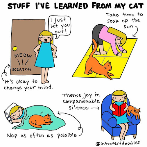 Learning by HEART: Cat Lessons