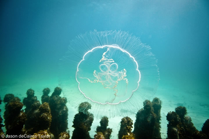 Wonders of the Millennial World 4: Underwater Museums | HISTORIES OF ...