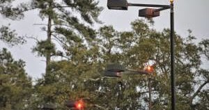 Kathryn's Report: Federal Aviation Administration restricts landings at ...