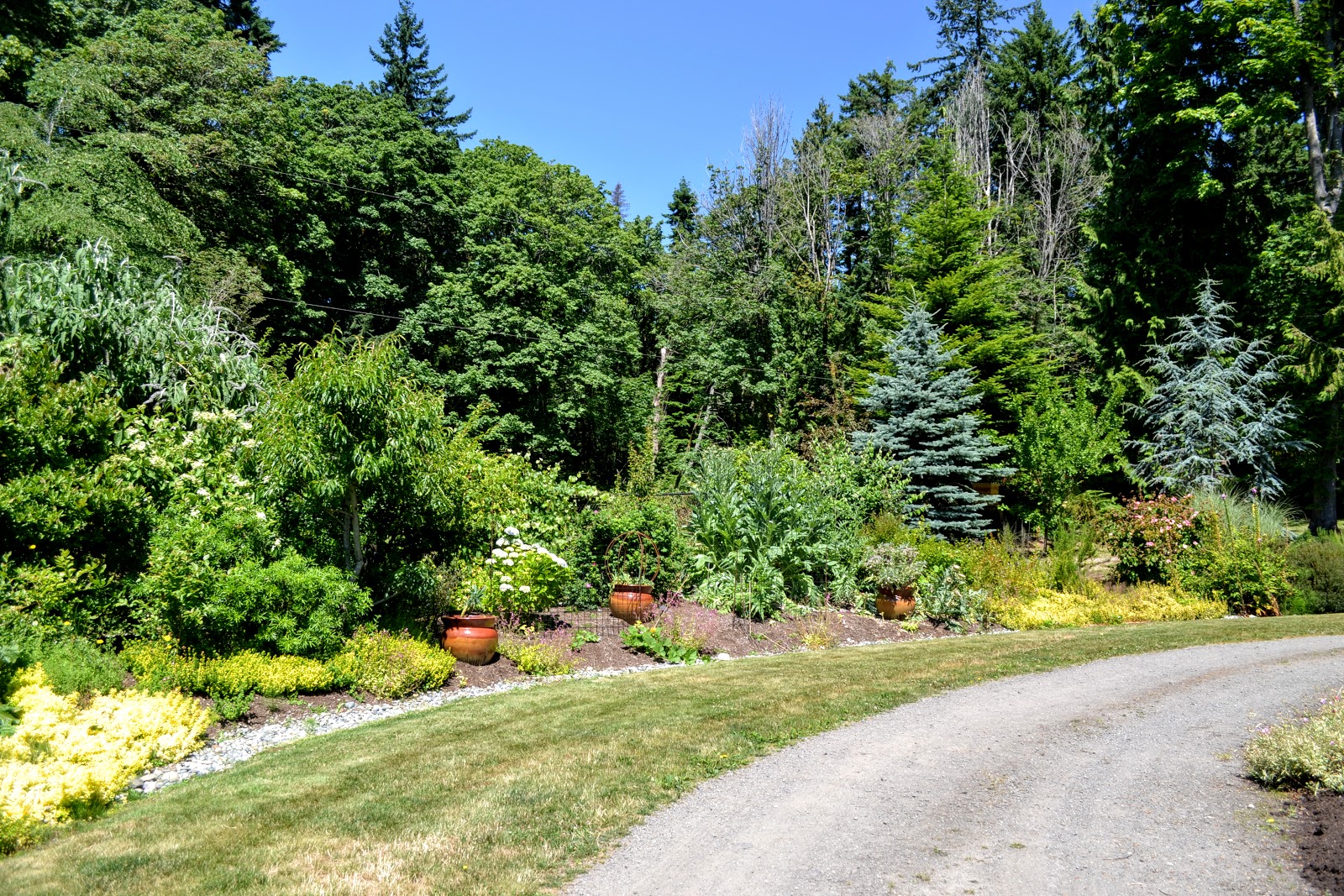 The Outlaw Gardener: Time to Warm Up in the Brindley Garden