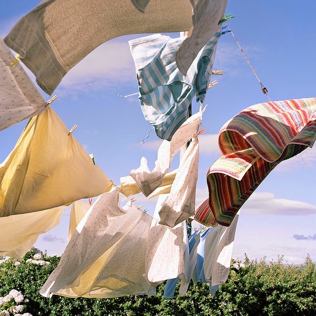 MARTHA MOMENTS: Domestic Insight: Drying Laundry on the Line