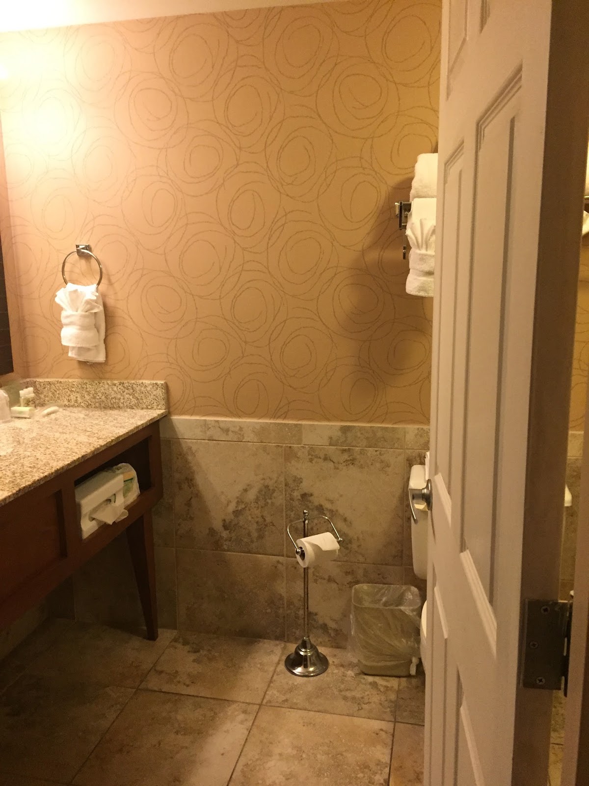 Travel Reviews & Information: Hollywood, Florida/Holiday Inn-Ft ...