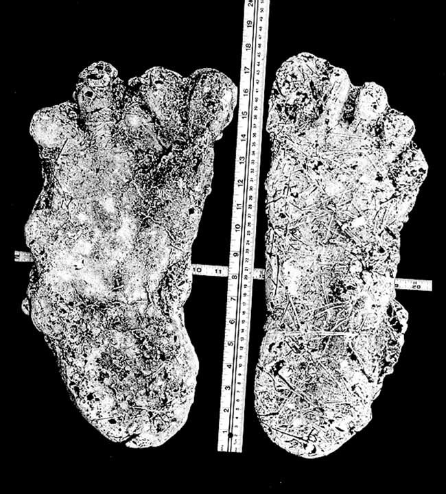 Sasquatch Tracks: Pictures of Sasquatch Tracks and Casts