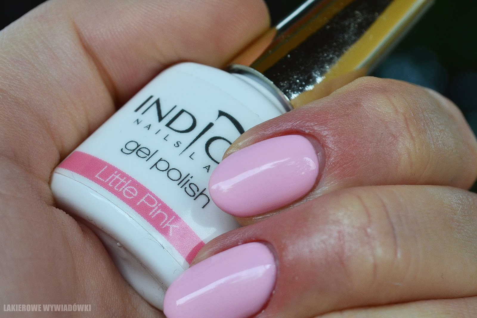 lakierowe wywiadówki: Indigo Nails gel polish - Little Pink