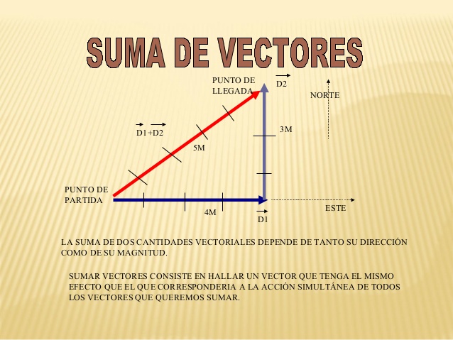 La Física del la Ardilla: 1.4 Vectores (distancia y desplazamiento)