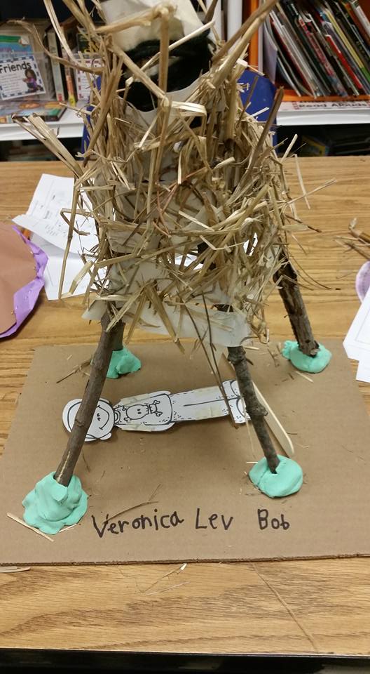 Growing a STEM Classroom: Hatchet, by Gary Paulsen, STEM Challenges ...