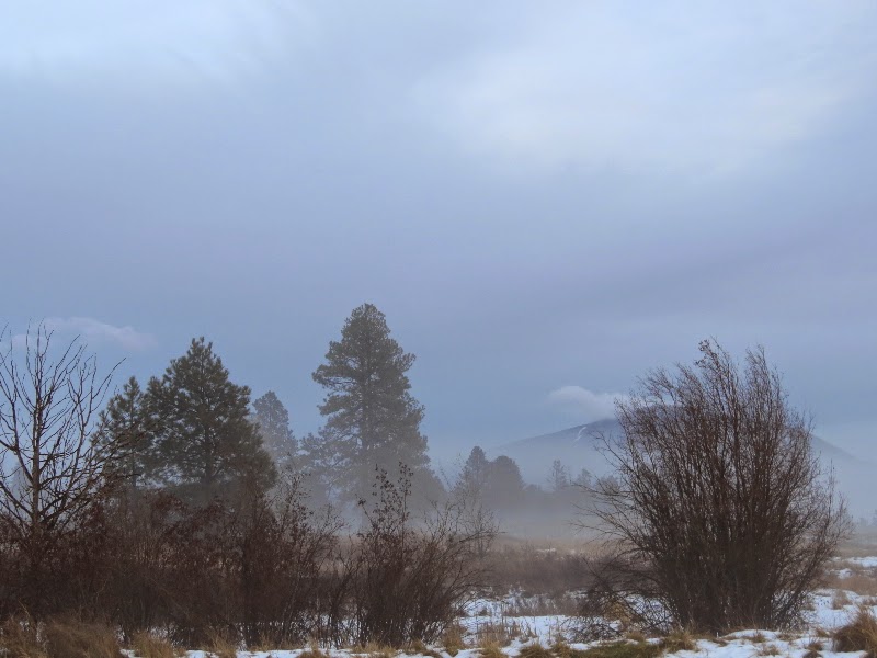 The Cranbrook Guardian: One Misty, Moisty Morning