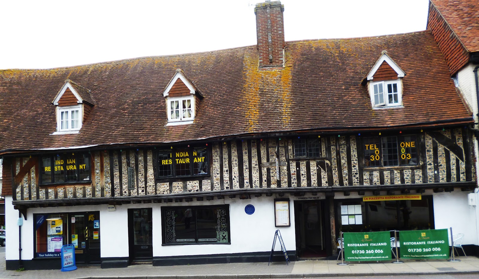 Dr Tony Shaw: Flora Twort in Petersfield, Hampshire: Petersfield Plaques #2