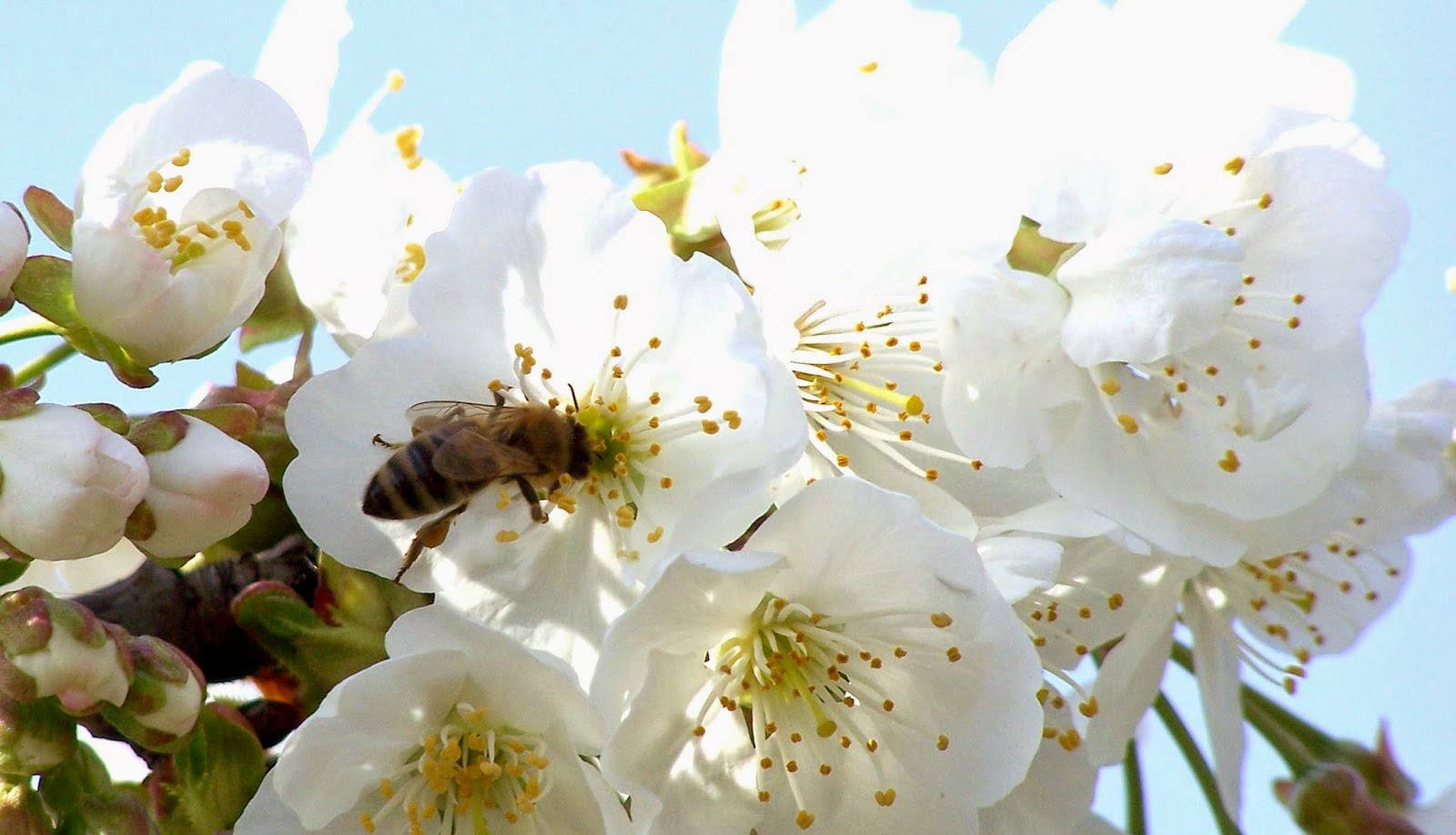 GREECE PHOTO GALLERY: 2015