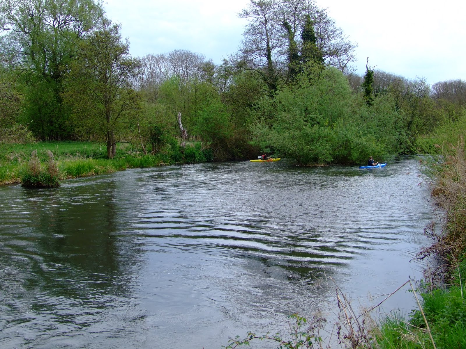 Canoeing and Kayaking on The River Kennet: River Kennet loop at ...