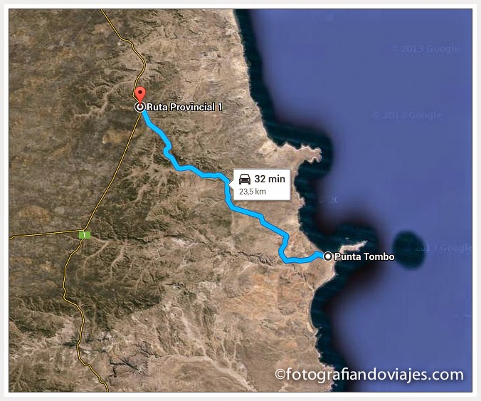 Punta Tombo: un millón de pingüinos de Magallanes en Argentina