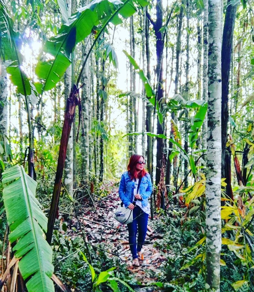 Lemon GreenTea: Home to Mt. Binahon Agro Forest Farm in Bukidnon