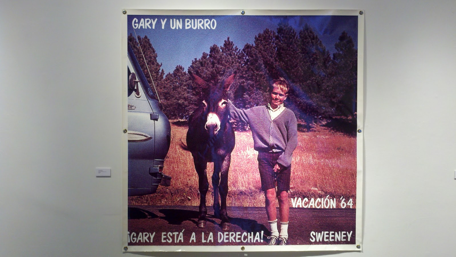 Gary Sweeney at BlueStar Contemporary Art Museum, Exhibition Review in ...