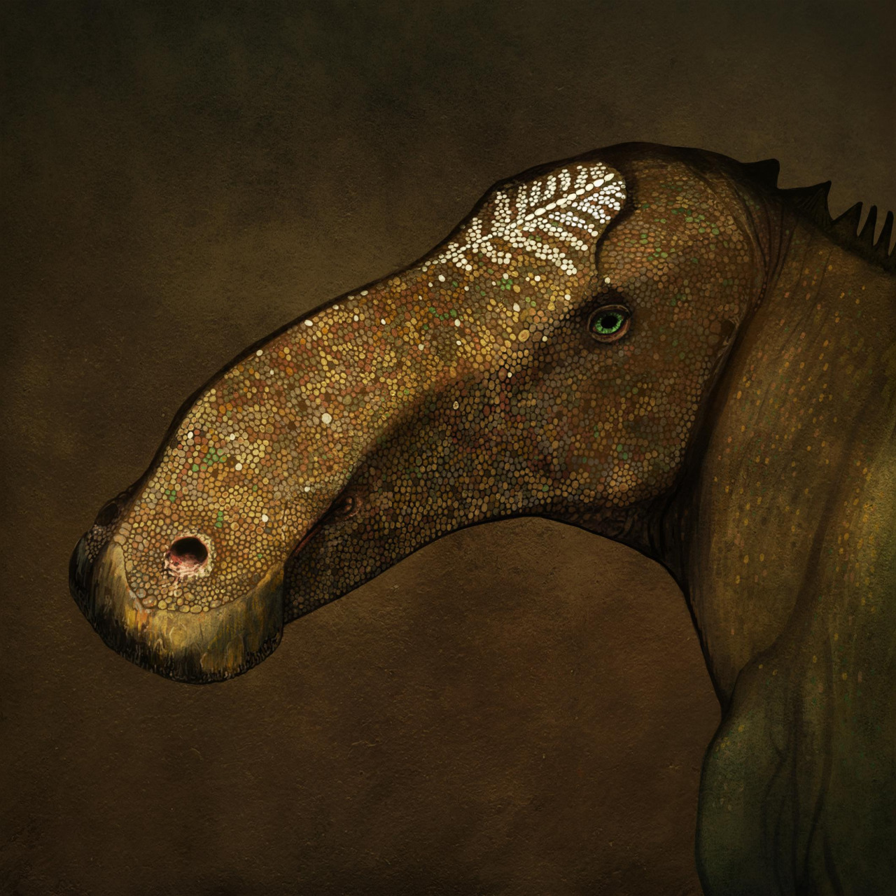 Species New to Science: [Paleontology • 2015] Probrachylophosaurus ...