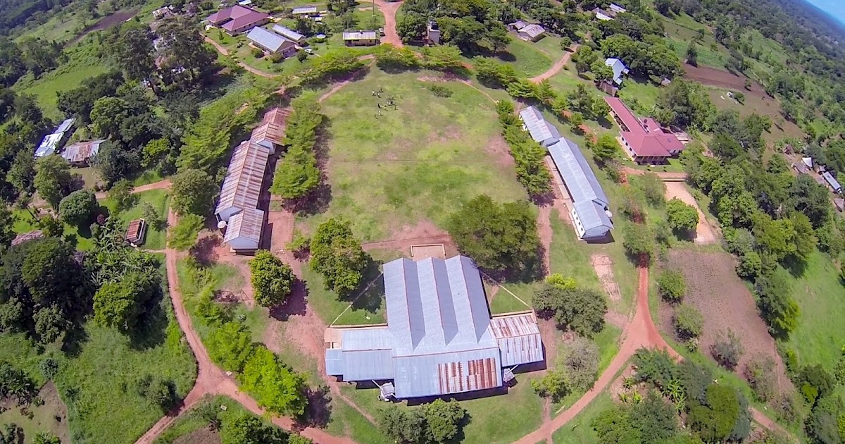 Winterstein Family Blog