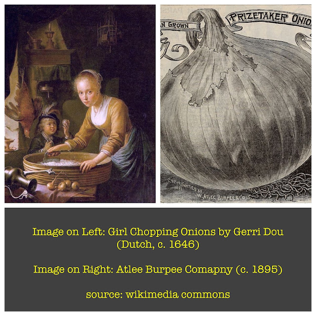 A Taste of History with Joyce White: Pump Up the Taste with Onion Sauce