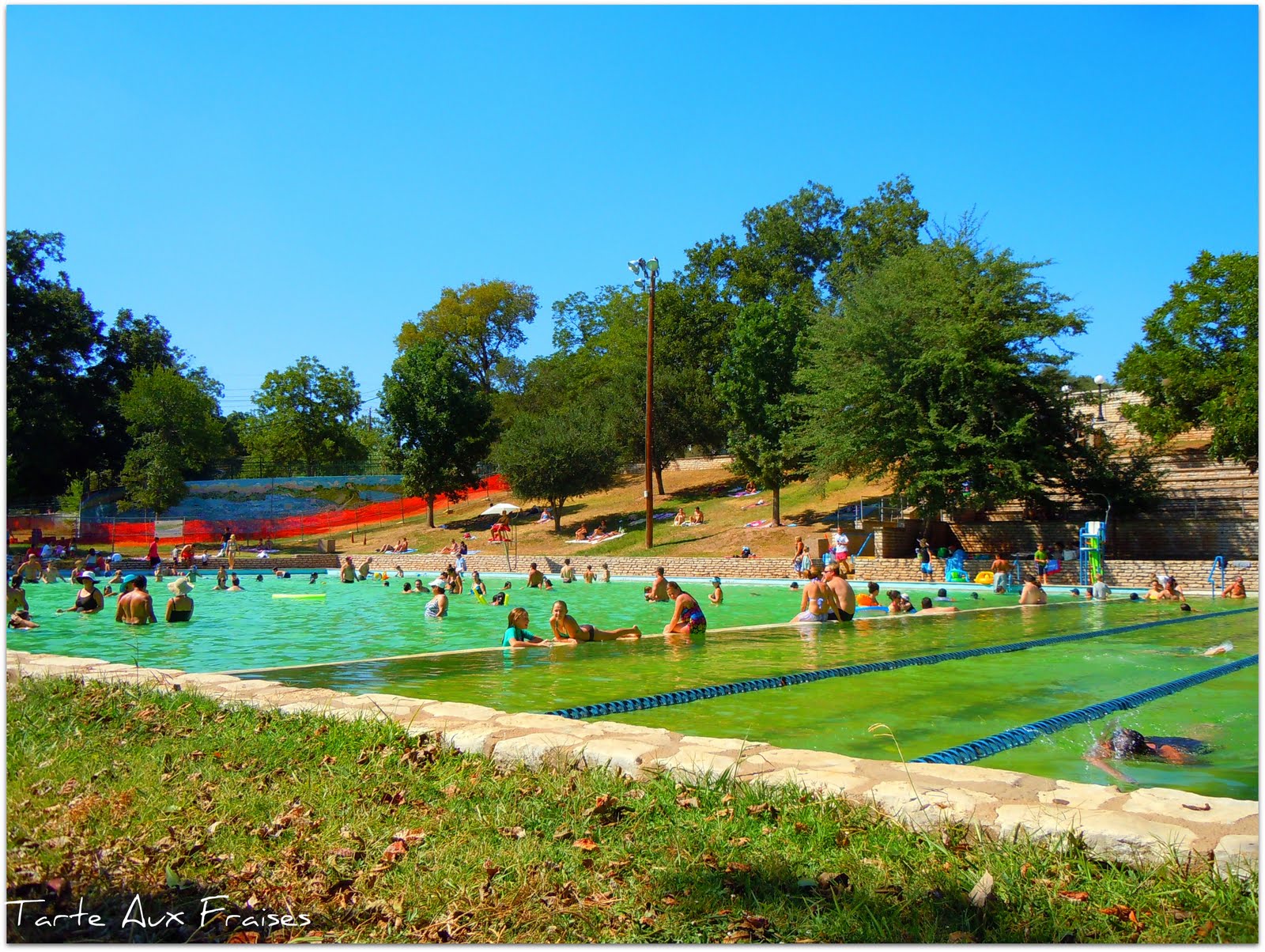 Tarte Aux Fraises: Deep Eddy Pool