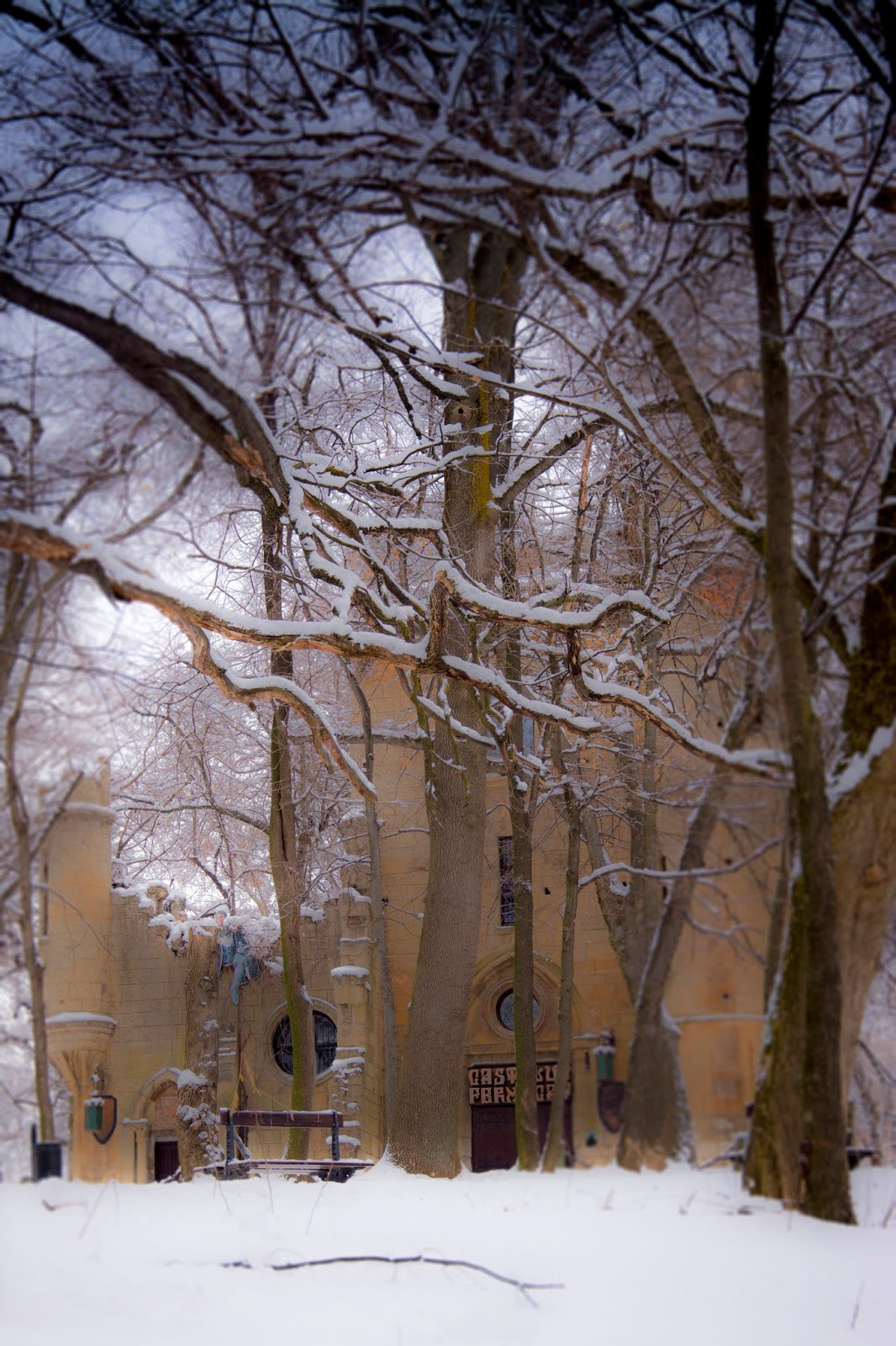 Daniel Barbu Photography: Parcul Romanescu din Craiova