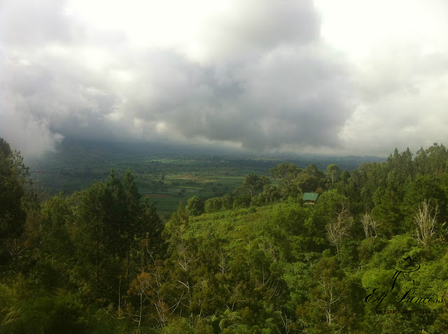 Elf Princess´ Travel Diaries: Zipline @Camp Sabros Mountain Resort