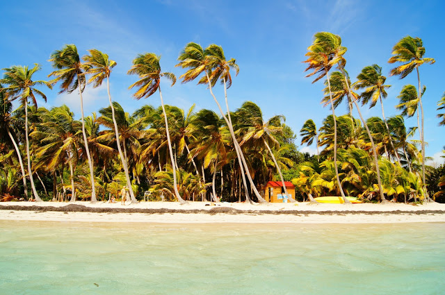 PETITS PARADIS: Anse Michel au Cap Chevalier (Sainte-Anne, Martinique)