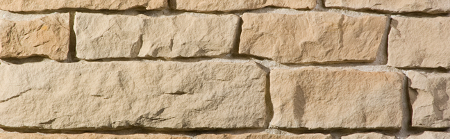 Vision, Hope and Passion: Importance of a Biblical Foundation for Missions