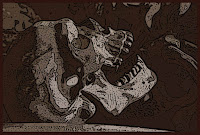 CRB : Kyton Demagouges