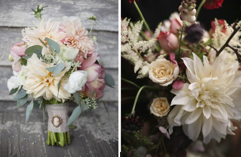 The Ivory Dahlia: dahlia love