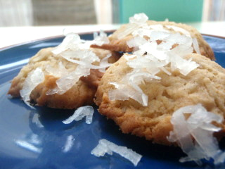 Coconetes - The Bella Insider