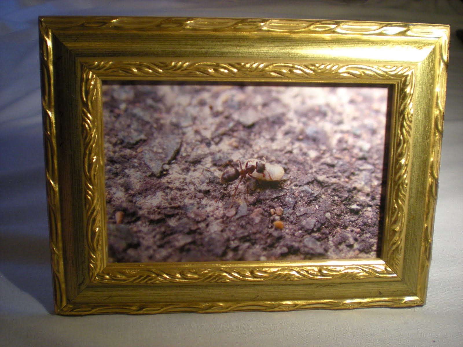 Kings Church Artists