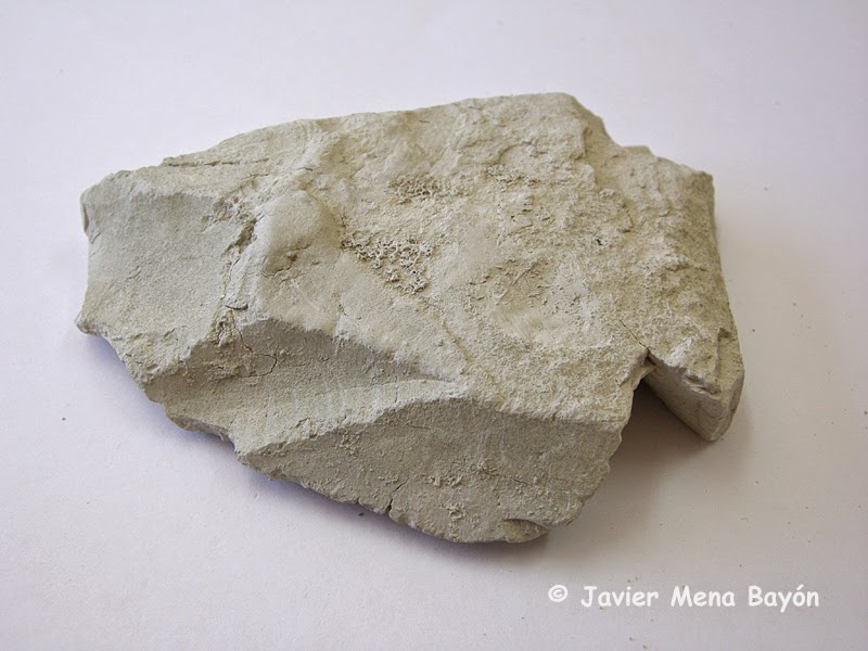 biologia2bachcamp: TEMA7. 4º ESO. ROCAS SEDIMENTARIAS