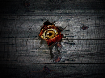 Alan Hindle ::-Fundamentos de diseño-::