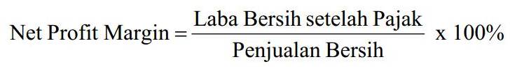 Macam-Macam Rasio Keuangan dan Rumusnya | TipsSerbaSerbi