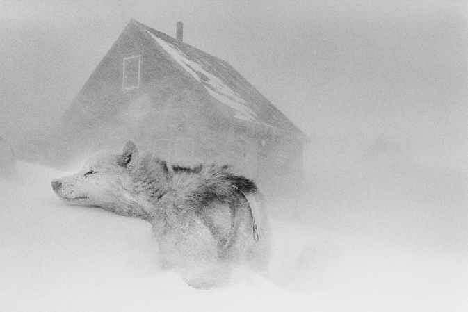 Lens Heroes: a resource of Photographers: Ragnar Axelsson