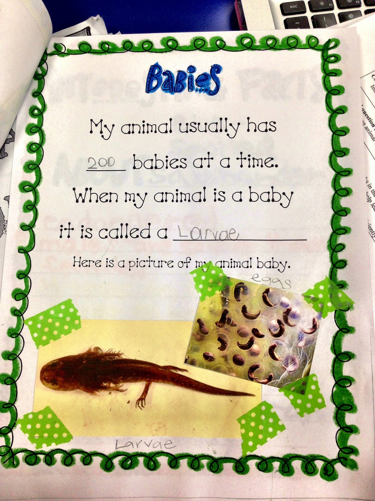 The Library Voice: Our Little Kindergarten Researchers Show "Wonder and ...