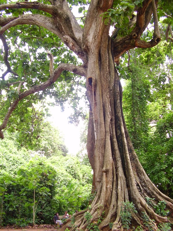 Doc' Chiffres & Mots: Les rajouts de "cairotes"