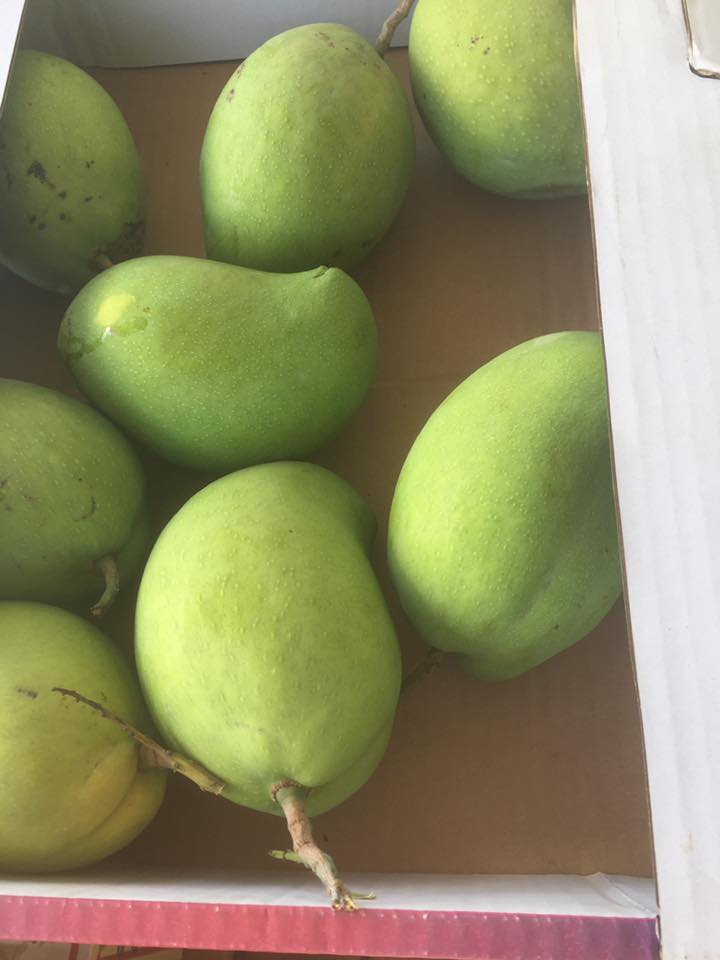 umiyumi2 : our life in perth, WA: Fruit Picking @ Valley Fresh Produce