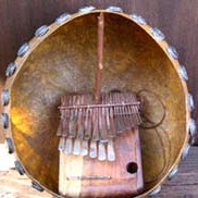 One fact about the mbira | Facts About All
