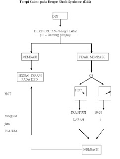 emergency case: ALGORITMA