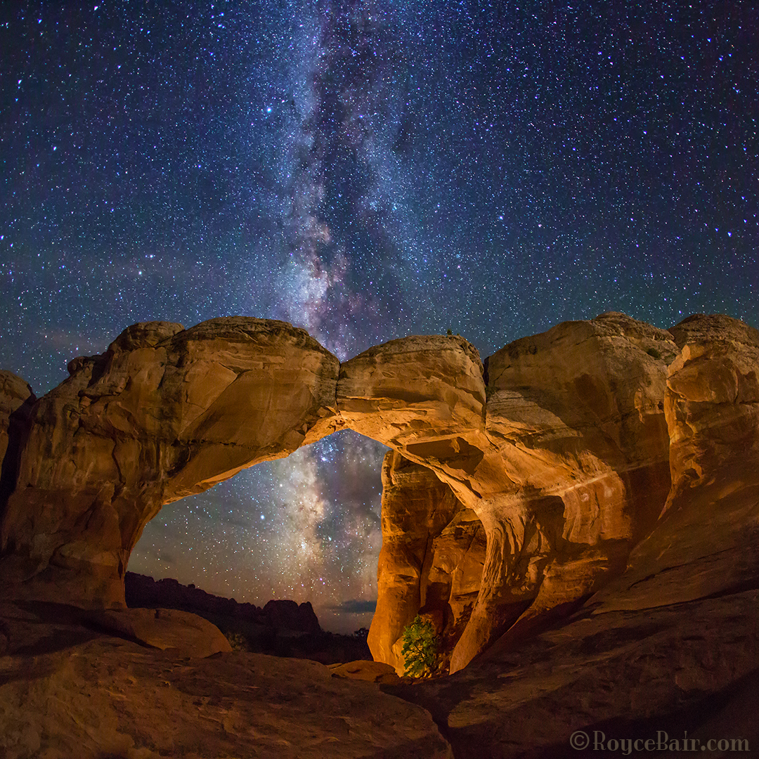 Into The Night Photography