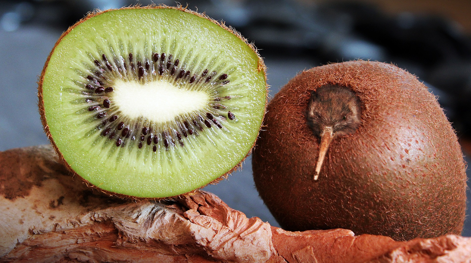 ¿Qué kiwi fue primero, la fruta o el ave? - Resolviendo la incógnita