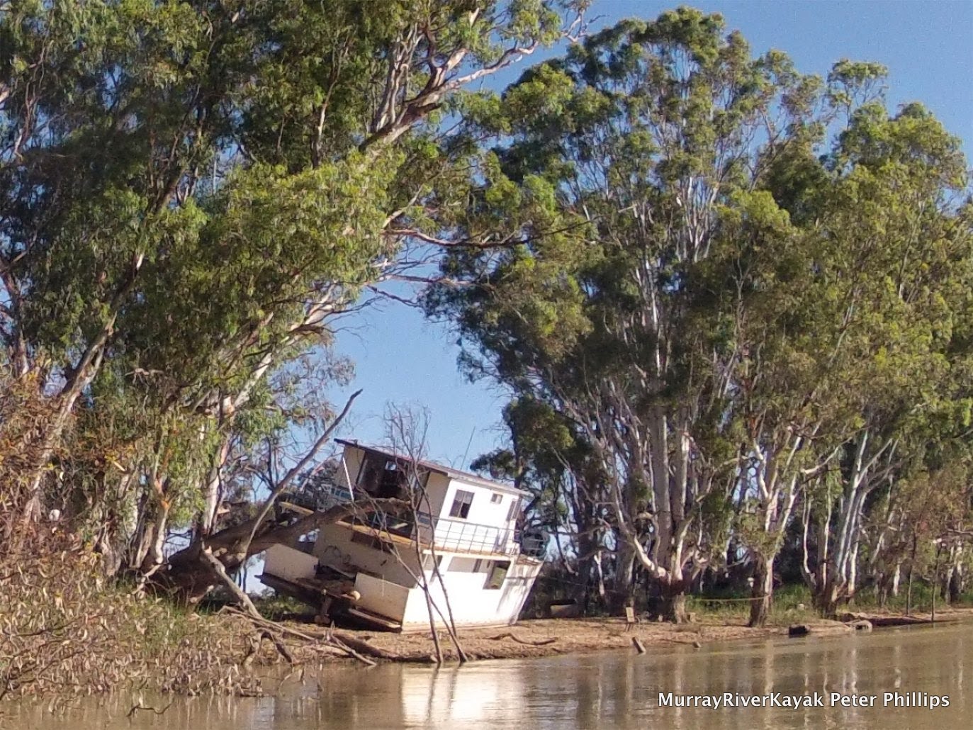 Murray River Kayak.: Day 23: 566 to 500 km to the sea: Renmark - Lock 5 ...