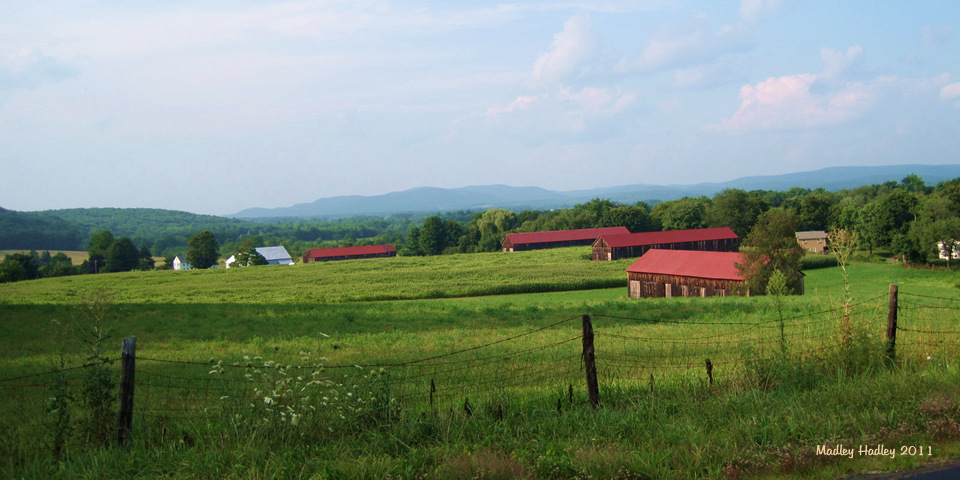 Madley Hadley: Beautiful Hadley Farms