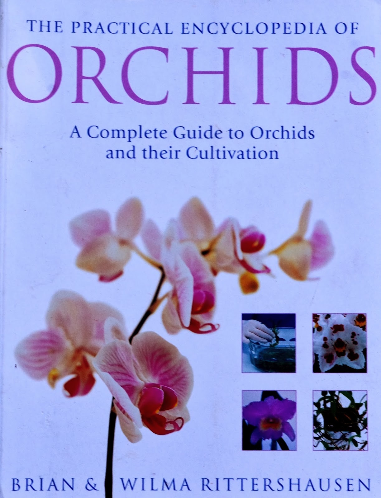 4 da Love of Orchids: My Orchid books