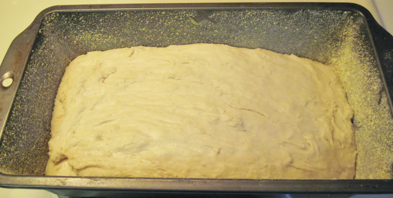 Carolina Sauce Company: The Great Yeast Revival Experiment (Part 1)