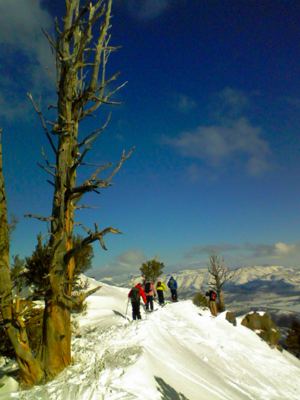 J.T. Robinson: chutes and brothers...