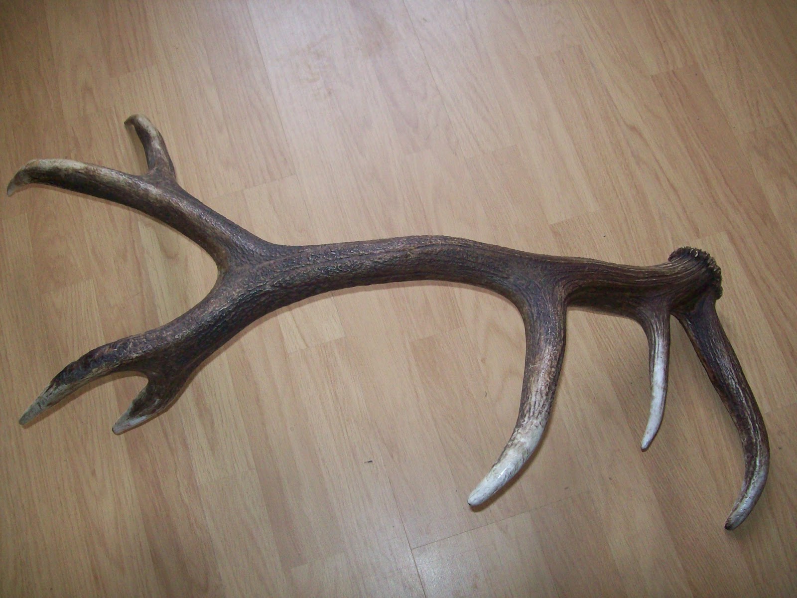 Le Blog "PYRENEES et NATURE" de Benjamin JOFFRE: ARCHITECTURE ...