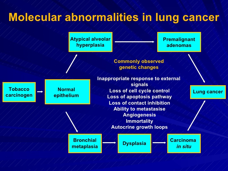 EXAMS AND ME : Knudson: Two Hit Hypothesis