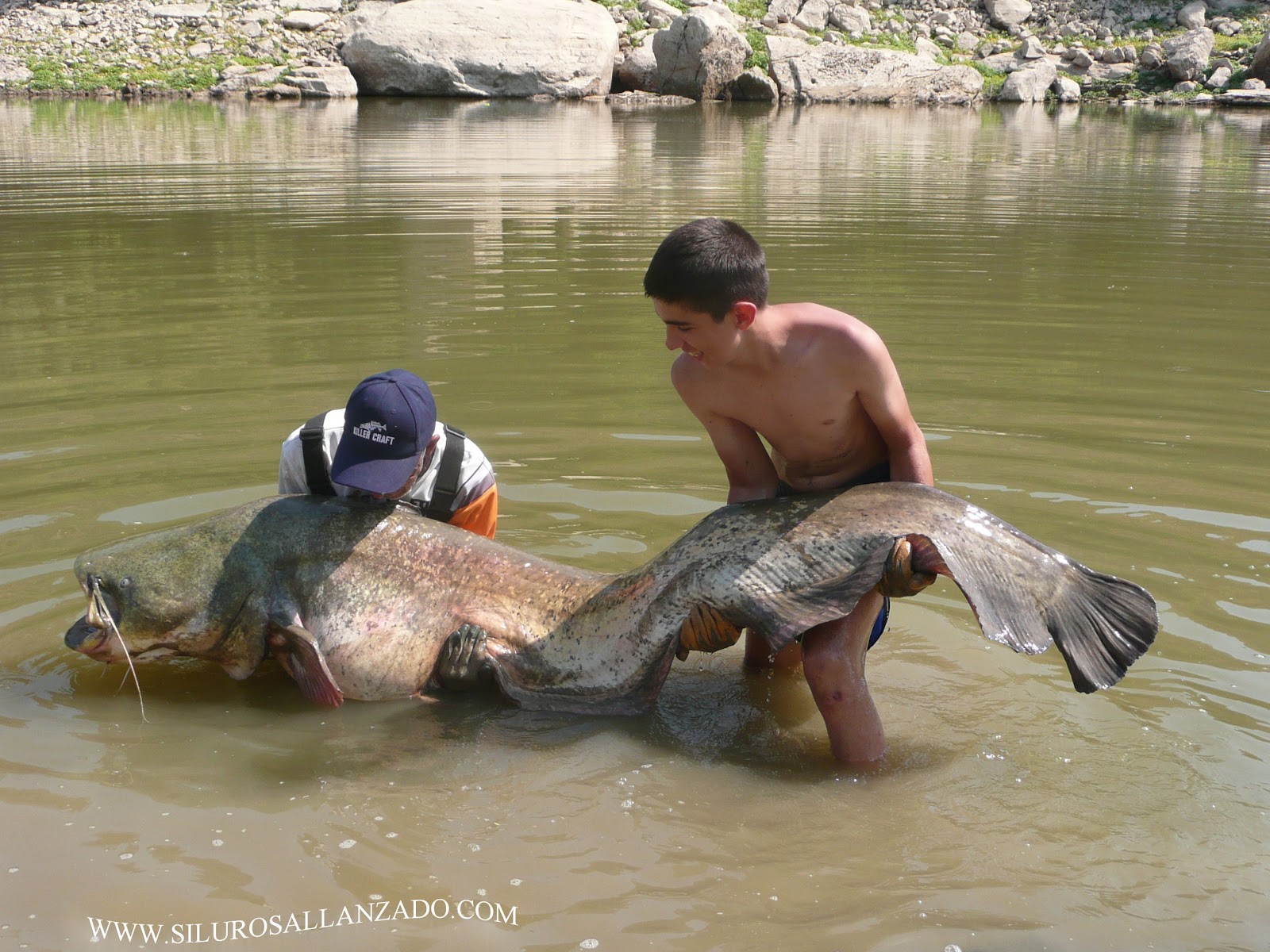 PESCA CON GUÍA DEL SILURO AL LANZADO Y PELLETS EN MEQUINENZA Y RÍO EBRO ...